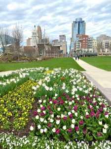 The Best Places to See Spring Flowers in Cincinnati