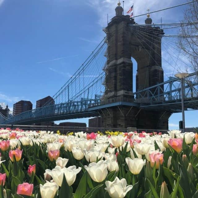 The Best Places to See Spring Flowers in Cincinnati