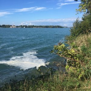 A Local's Guide to Put-in-Bay Island - Adventure Mom