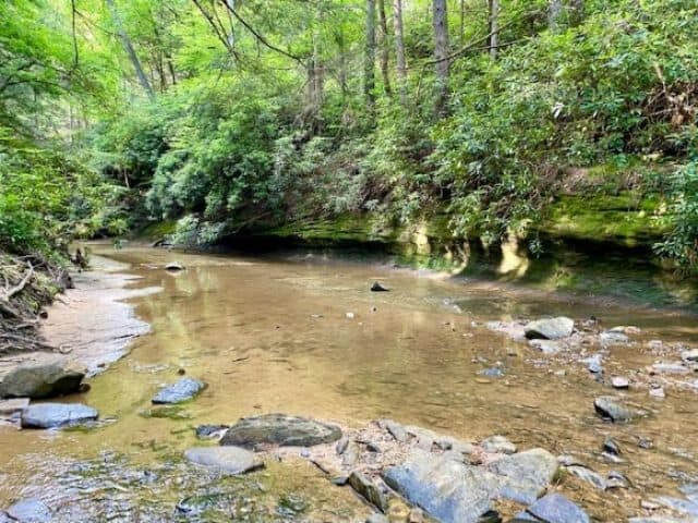 A Beautiful Waterfall at Red River Gorge in Kentucky