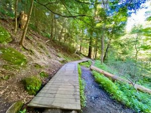 Top Things to Do Near Mohican State Park