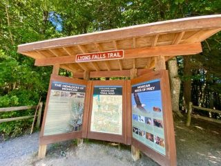 Top Things to Do Near Mohican State Park