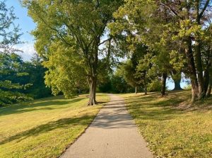 Top Things to Do at Devou Park in Covington