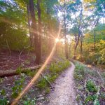 Top Things to Do at Devou Park in Covington