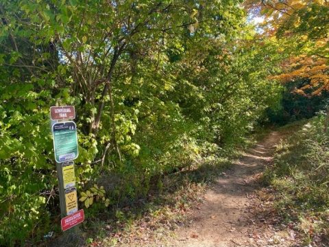 Top Things to Do at Devou Park in Covington