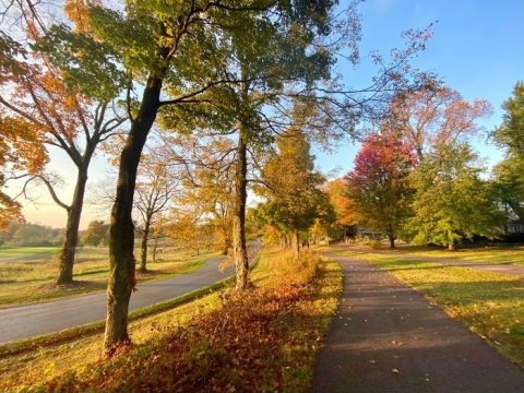 Top Things to Do at Devou Park in Covington