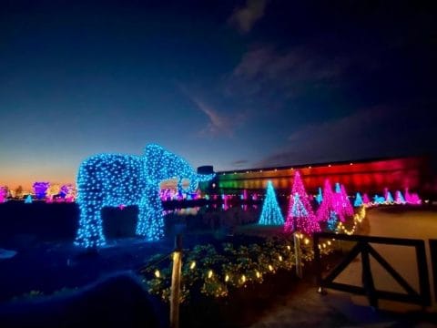 Christmas Light Displays & Holiday Events Around Cincinnati
