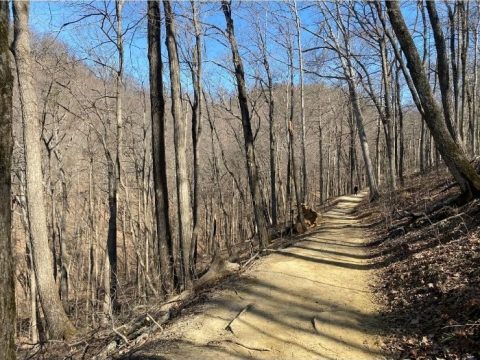 7 Fun and Unique Things to Do in Berea, Kentucky