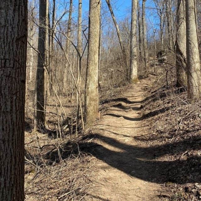 7 Things to Do in Berea, Kentucky