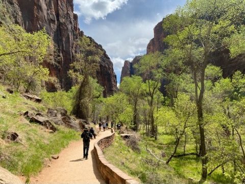 Hike the Narrows for an Incredible Adventure at Zion National Park