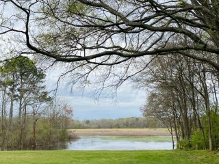 Top Things to Do in Decatur, Alabama