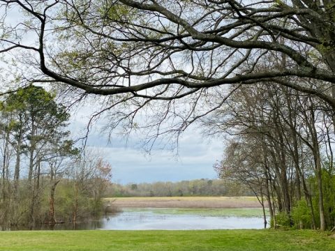 Top Things to Do in Decatur, Alabama