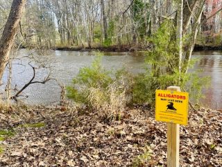 Top Things to Do in Decatur, Alabama