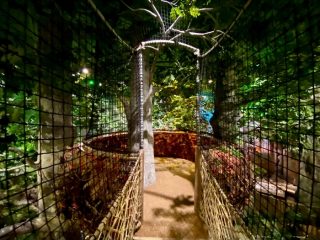 Top Things to Do in Decatur, Alabama