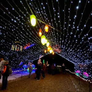 Fun Holiday Events in Green Bay, Wisconsin for Families