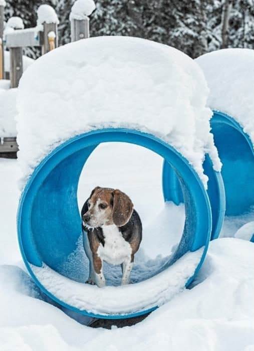Fun Things to Do on a Snow Day - Indoor & Outdoor Activities
