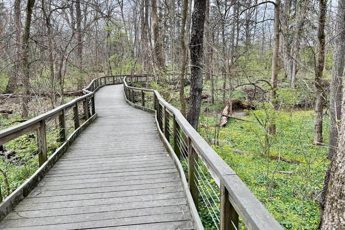 Can You Believe These Giant Trolls are in Dayton, Ohio?