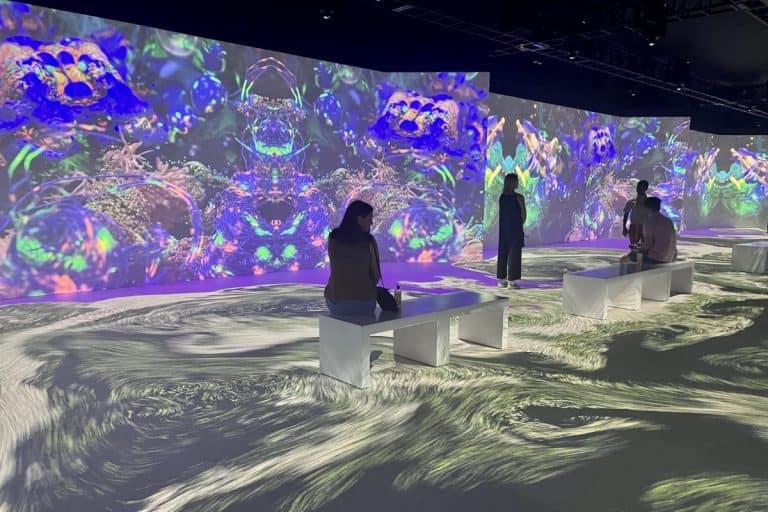 Explore The Lume Indianapolis Featuring Monet And Friends Alive