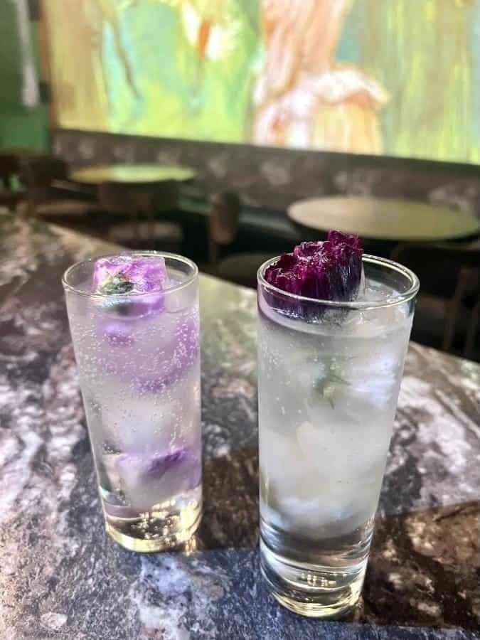 Explore The Lume Indianapolis Featuring Monet And Friends Alive