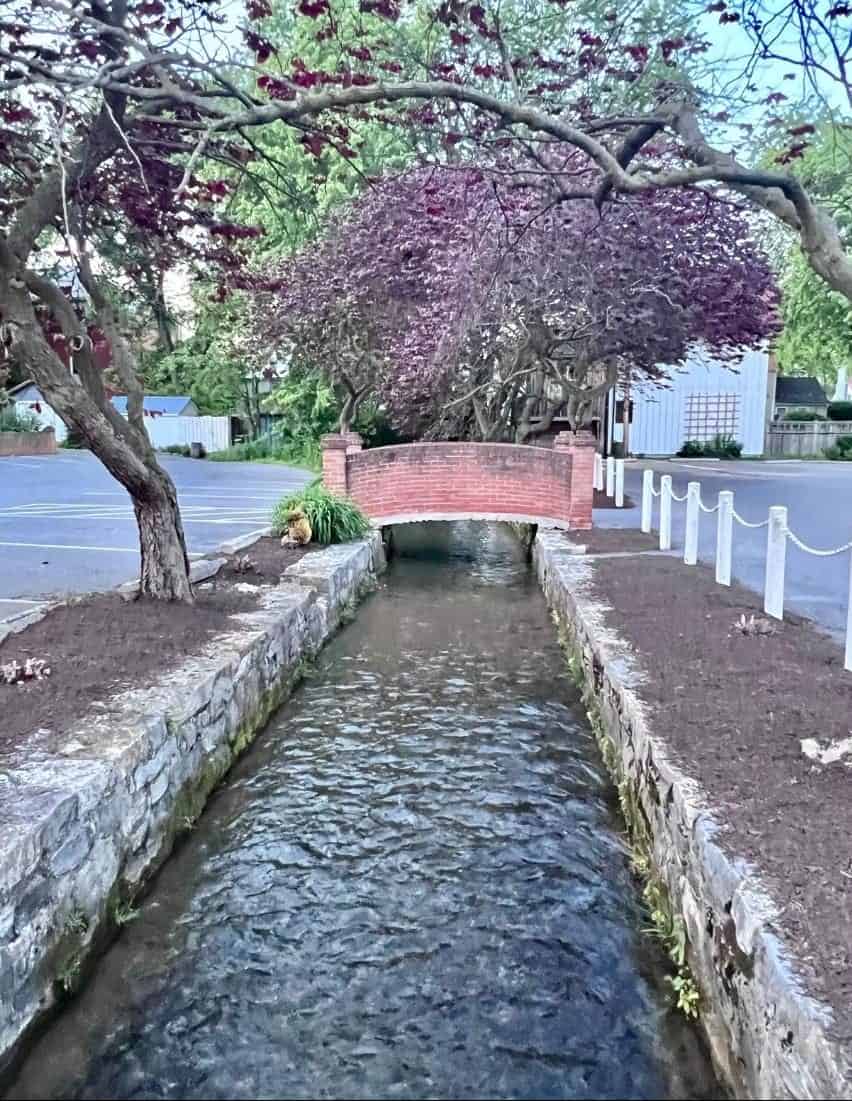 Hidden Gems and Unique Things to Do in Shepherdstown, WV