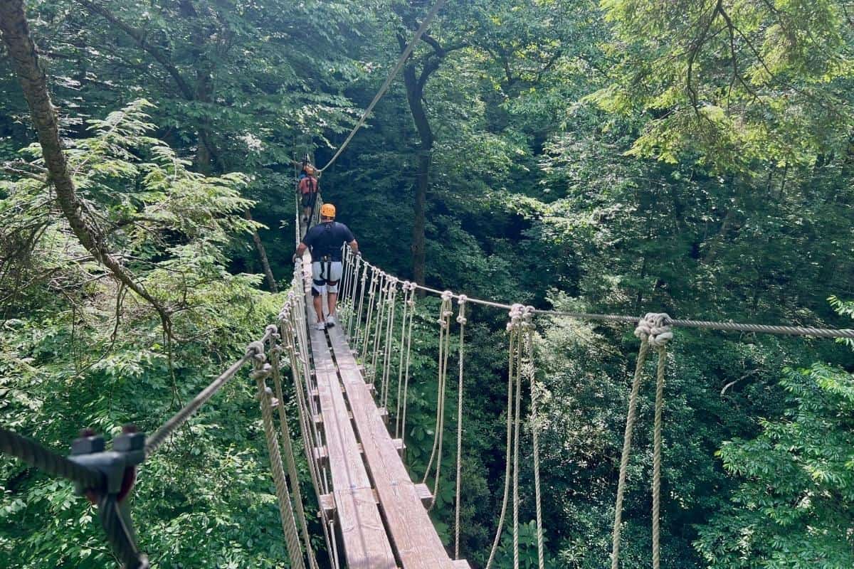 Fun Things to do at Adventures on the Gorge in West Virginia