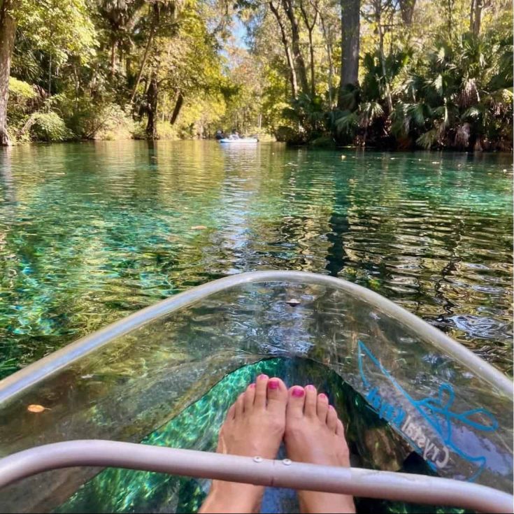 Awesome Things to Do in Silver Springs, Florida