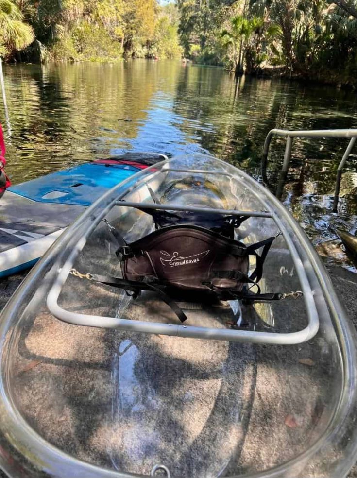 Awesome Things to Do in Silver Springs, Florida