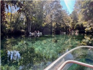 Awesome Things to Do in Silver Springs, Florida
