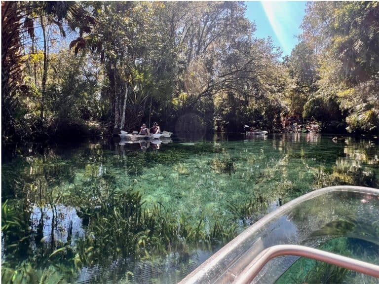 Awesome Things to Do in Silver Springs, Florida