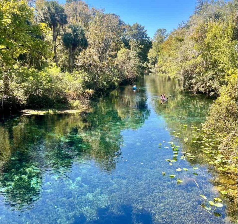 Awesome Things to Do in Silver Springs, Florida