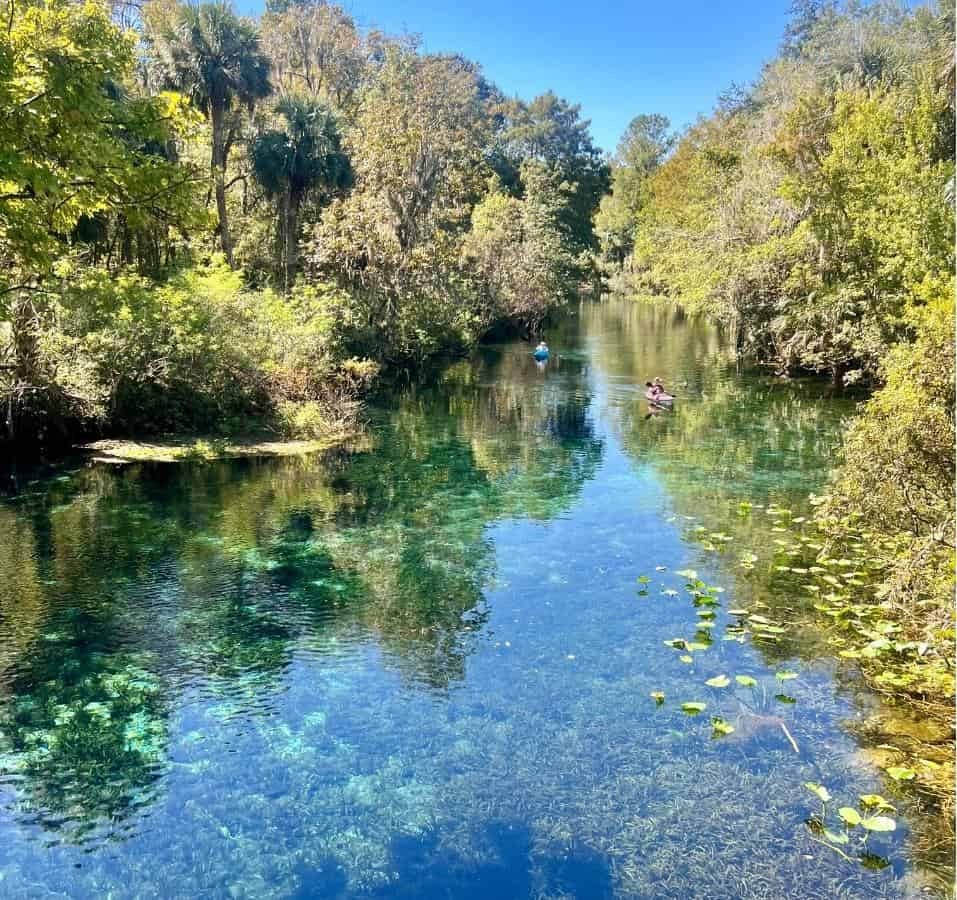 Awesome Things to Do in Silver Springs, Florida