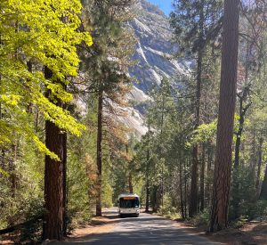 Essential Tips for Visiting Yosemite National Park