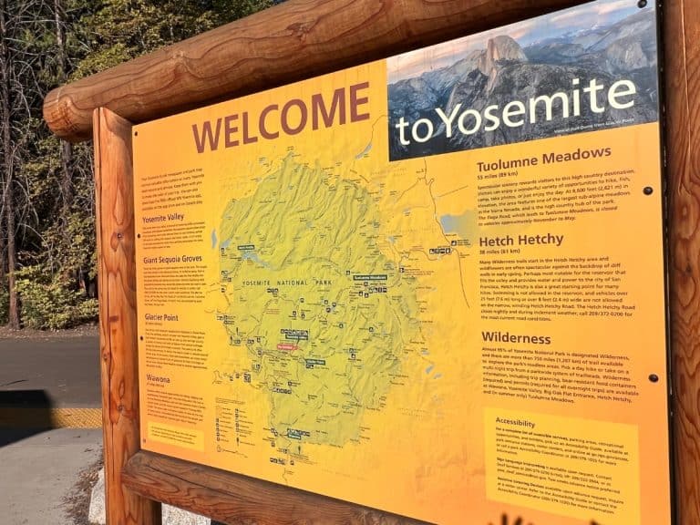 Essential Tips for Visiting Yosemite National Park