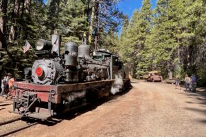 Top Things to Do Near Bass Lake California