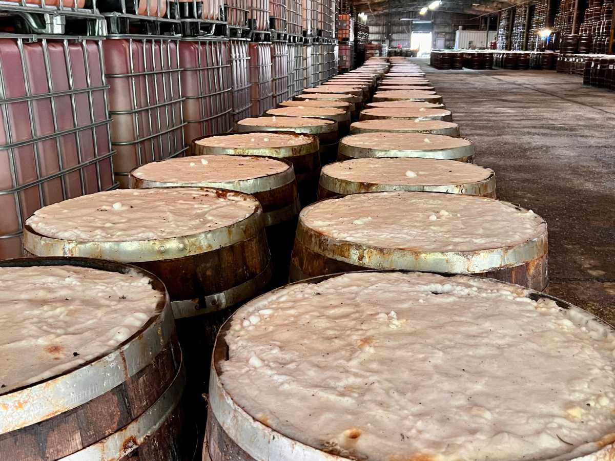 Why I Loved the Tabasco Factory Tour on Avery Island in LA