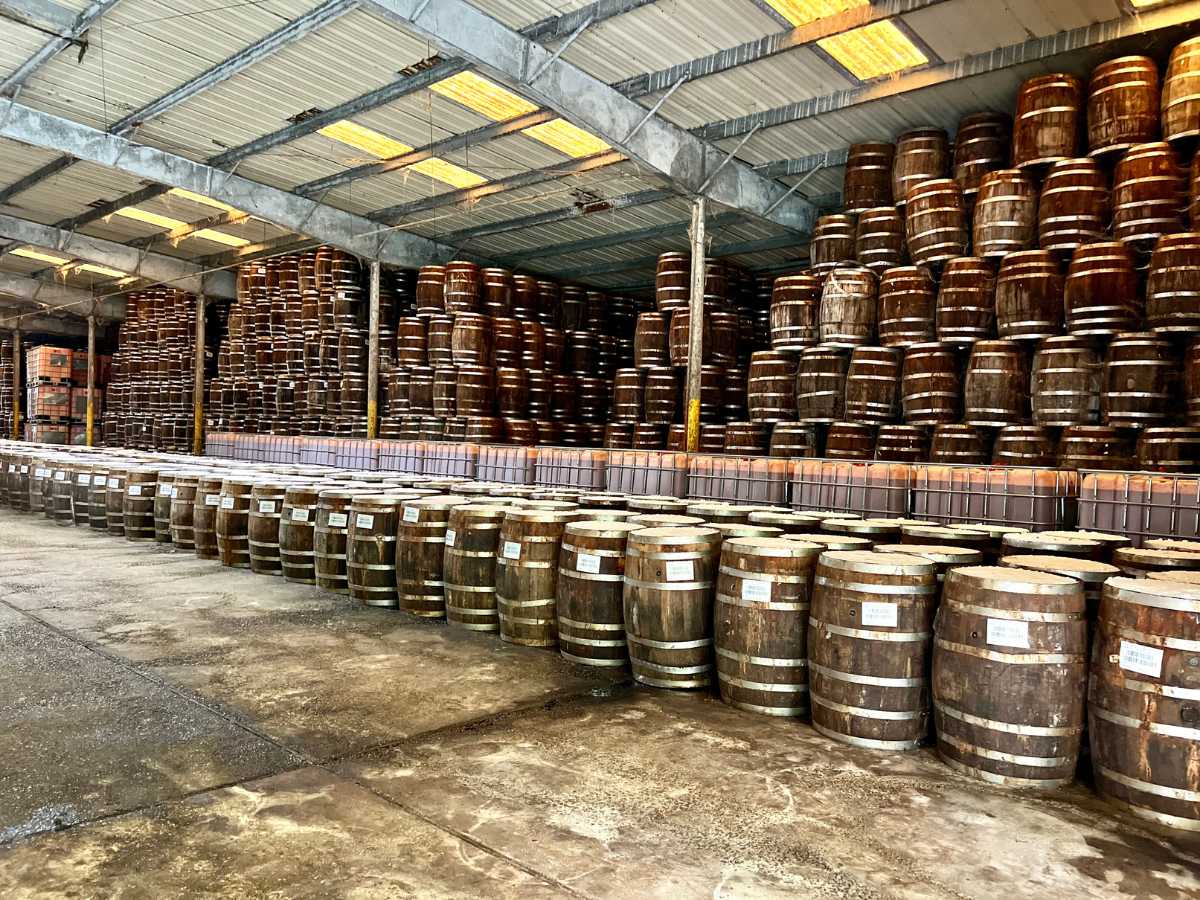 Why I Loved the Tabasco Factory Tour on Avery Island in LA