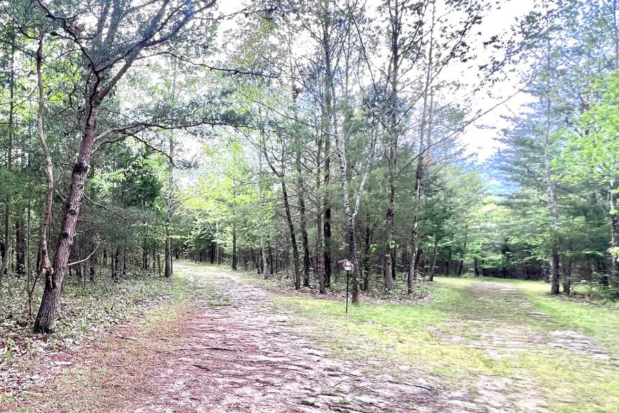 See the "Big Twigs" and Explore Lake Malone State Park in KY