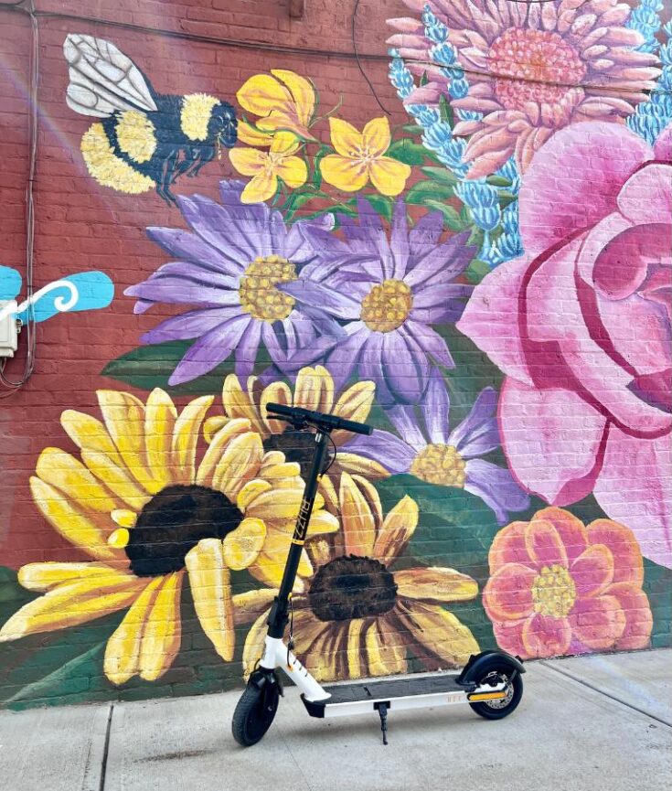 Explore More With A HEX E-Scooter From Buzz Bicycles