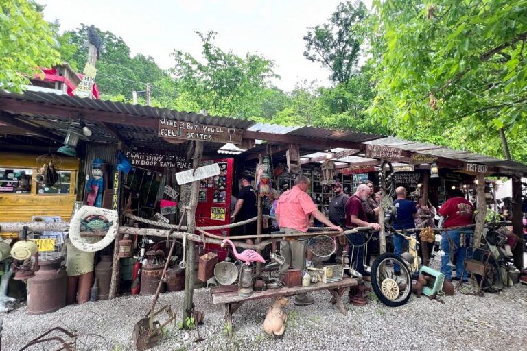 Why Hillbilly Hot Dogs in Lesage, WV is a restaurant to try!