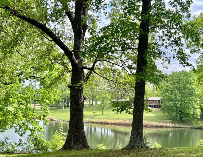 Hidden Gems and Unique Things to Do in Madisonville, KY