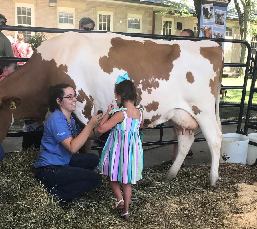 What you need to know before you go to the Ohio State Fair