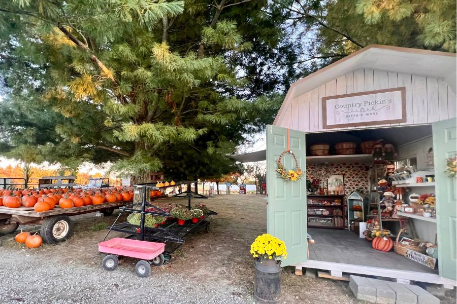 Country Pumpkins - A Fun Fall Adventure in Dry Ridge, KY