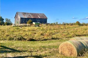 Country Pumpkins - A Fun Fall Adventure in Dry Ridge, KY