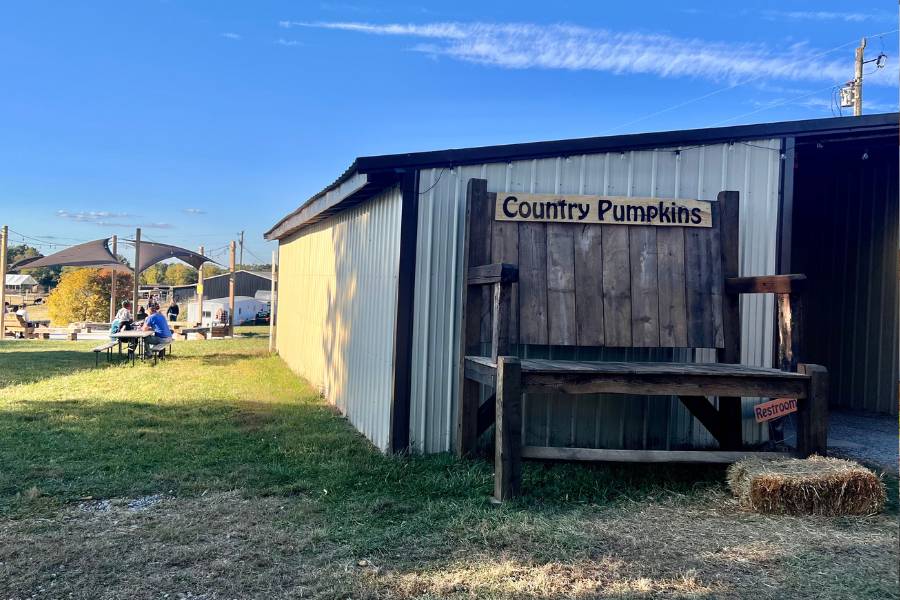 Country Pumpkins - A Fun Fall Adventure in Dry Ridge, KY