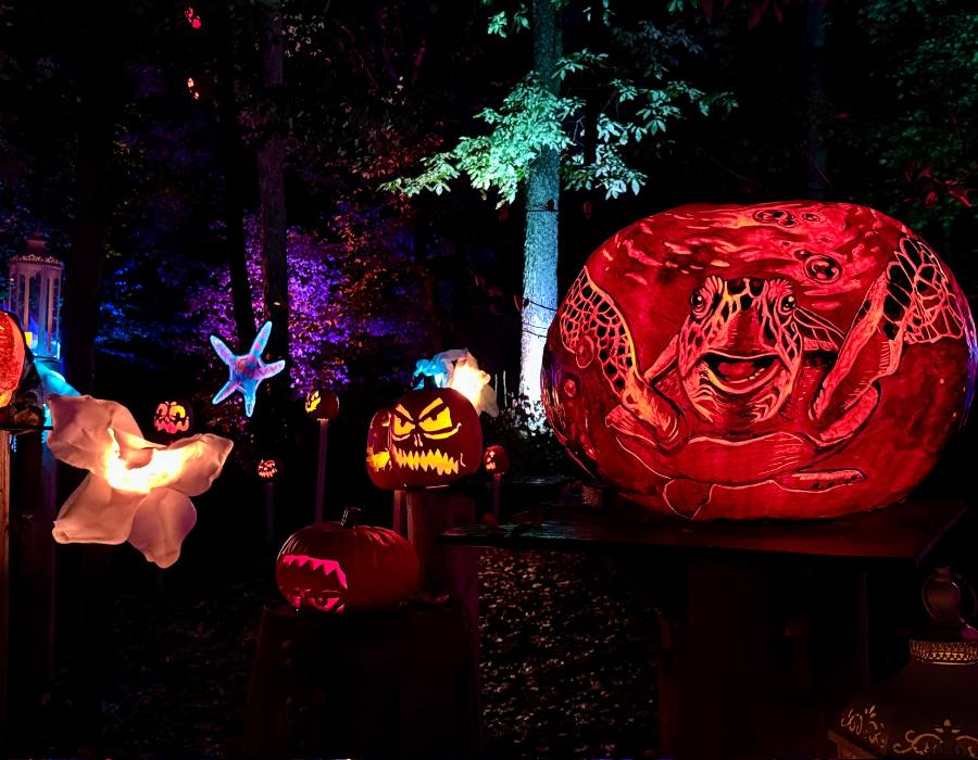 Tips for Visiting the Louisville Jack O’ Lantern Spectacular