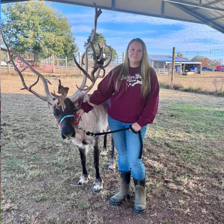 Reindeer Encounters at The Reindeer Farm in Bowling Green,KY
