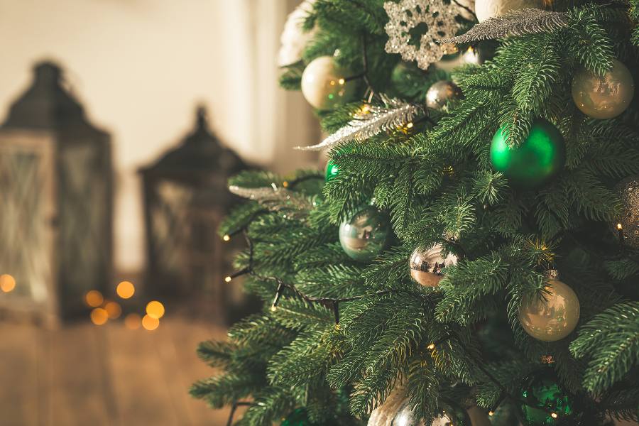 Tips for Selecting and Taking Care of a Real Christmas Tree