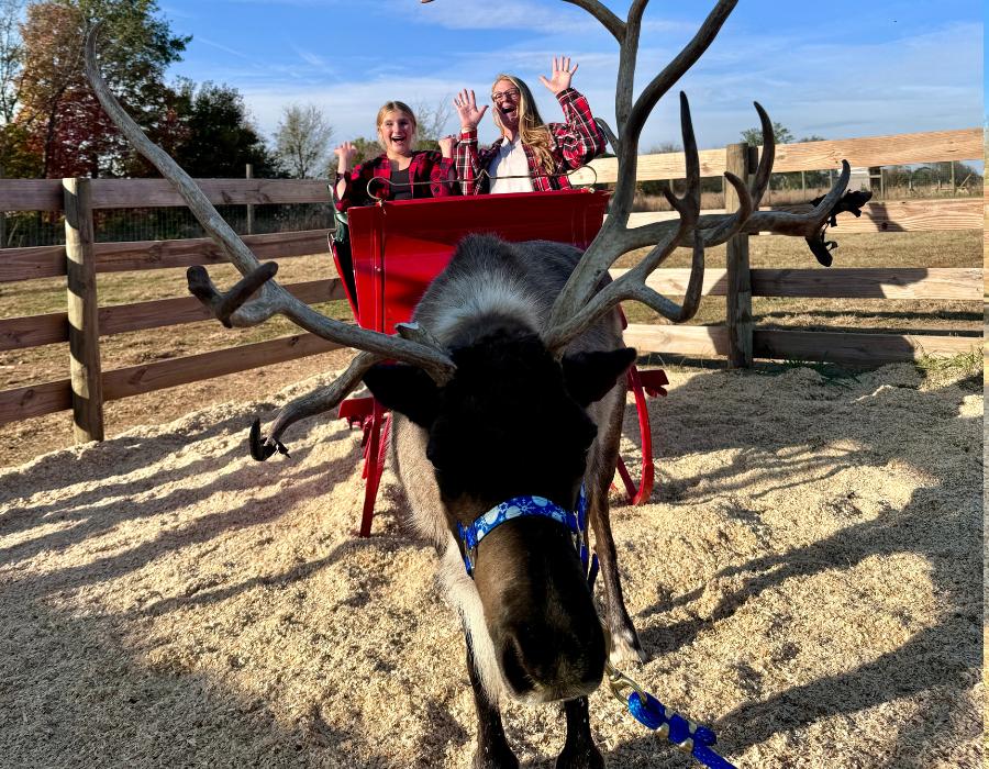 Reindeer Encounters at The Reindeer Farm in Bowling Green,KY