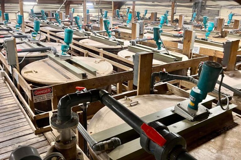 Why I Loved the Tabasco Factory Tour on Avery Island in LA