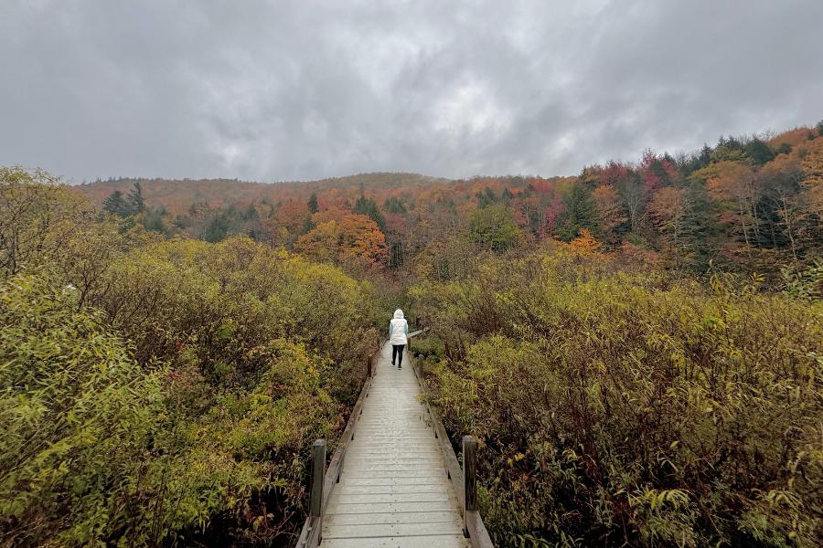 5 Short Easy Hikes to Beautiful Waterfalls in Vermont